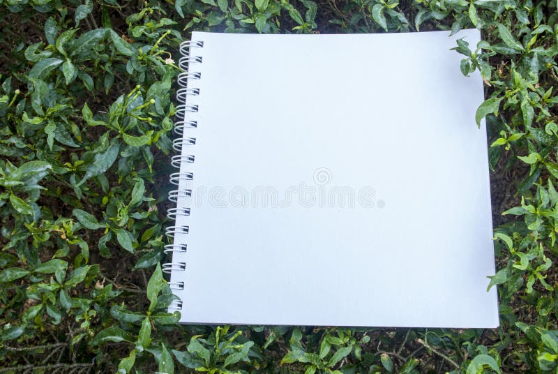 Layouts Created from White Paper and Natural Concepts Stock Image ...