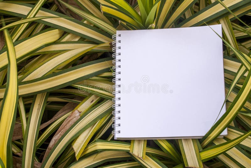 Layouts Created from White Paper and Natural Concepts Stock Photo ...