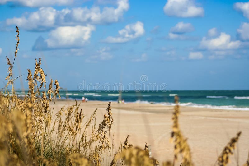 Lazy vacations stock photo. Image of lounge, destination - 30956214