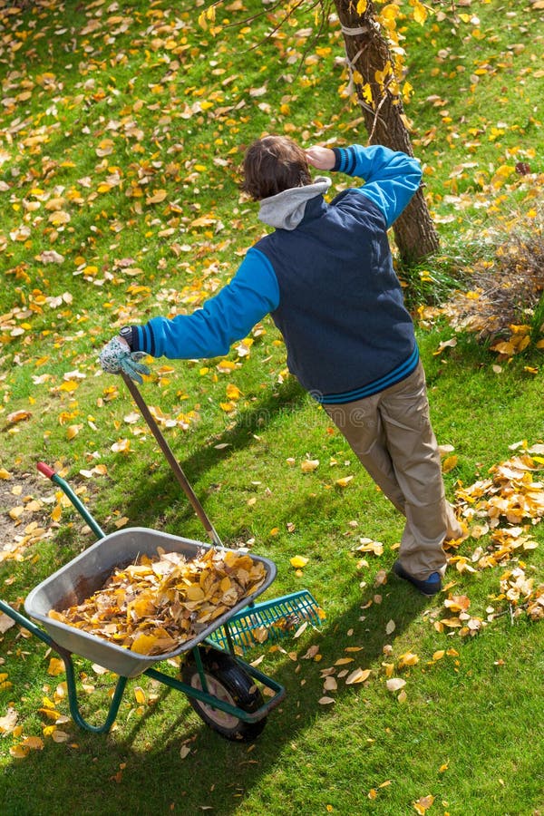 Lazy garden cleaning stock image. Image of gardener, hands - 43880637
