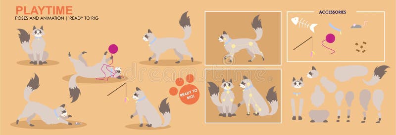 Cute Ragdoll Cat Play Time, Kitten Playing with Mice, Multiple Poses ...