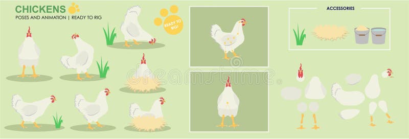 Cute Chicken White Character Hen Ready To Animate, Multiple Angles ...