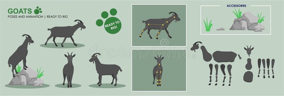 Goat Vector Ready To Rig for Animation. Black Mountain Goat Collection ...