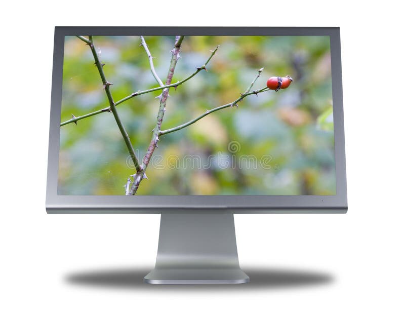 Lcd monitor flat screen stock image. Image of thin, glass - 7291833