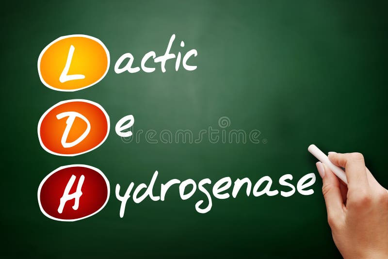 LDH - Lactic Dehydrogenase Acronym, Concept on Blackboard Stock Photo ...