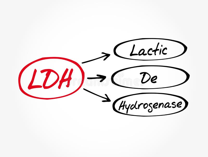 Lactic Dehydrogenase Stock Illustrations – 52 Lactic Dehydrogenase ...