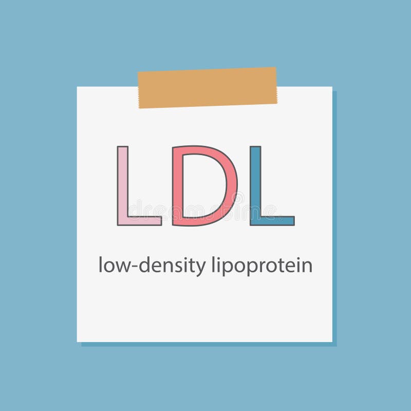 LDL Low-density Lipoprotein Written in a Notebook Paper Stock Vector ...