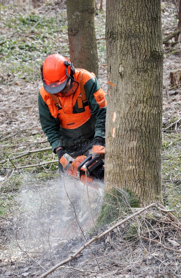 Leñador imagen de archivo. Imagen de equipo, motor, contento - 18979539