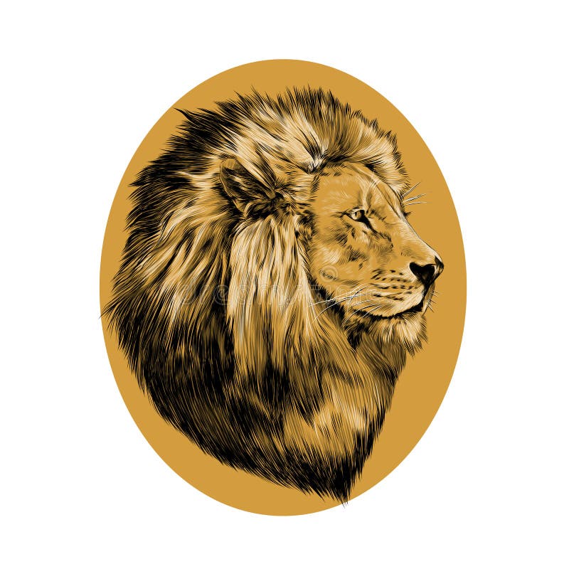 León Orgulloso, Cara En Perfil Ilustración del Vector - Ilustración de ...