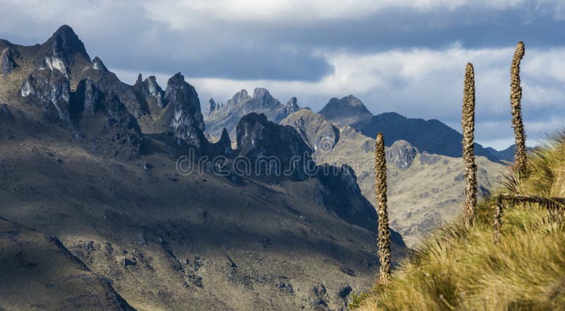 Vulcano Nel Parco Nazionale Di Sajama, Le Ande, Bolivia Immagine Stock ...