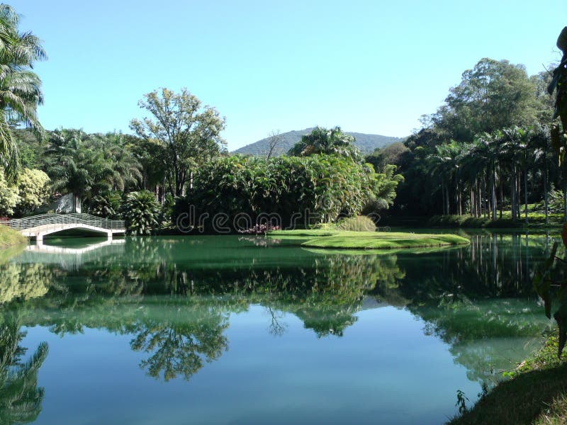 Le beau lac image stock. Image du branchements, feuillage - 59985577