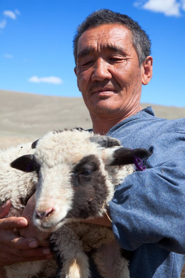 Berger d'homme image stock. Image du horseback, pâturage - 23025459