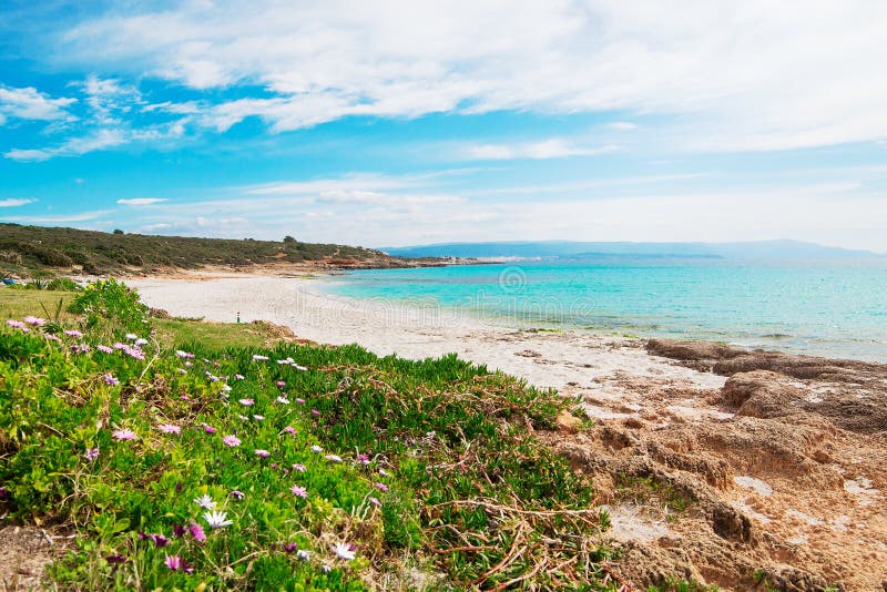 Le Bombarde Beach on a Cloudy Day Stock Photo - Image of island, brown ...