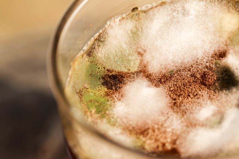 Le Champignon De Spore a Formé Sur La Surface Du Thé Photo stock ...