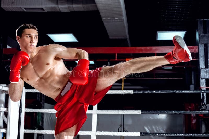 Le Jeune Champion Beau De Boxe S'exerce Dur Image stock - Image du ...