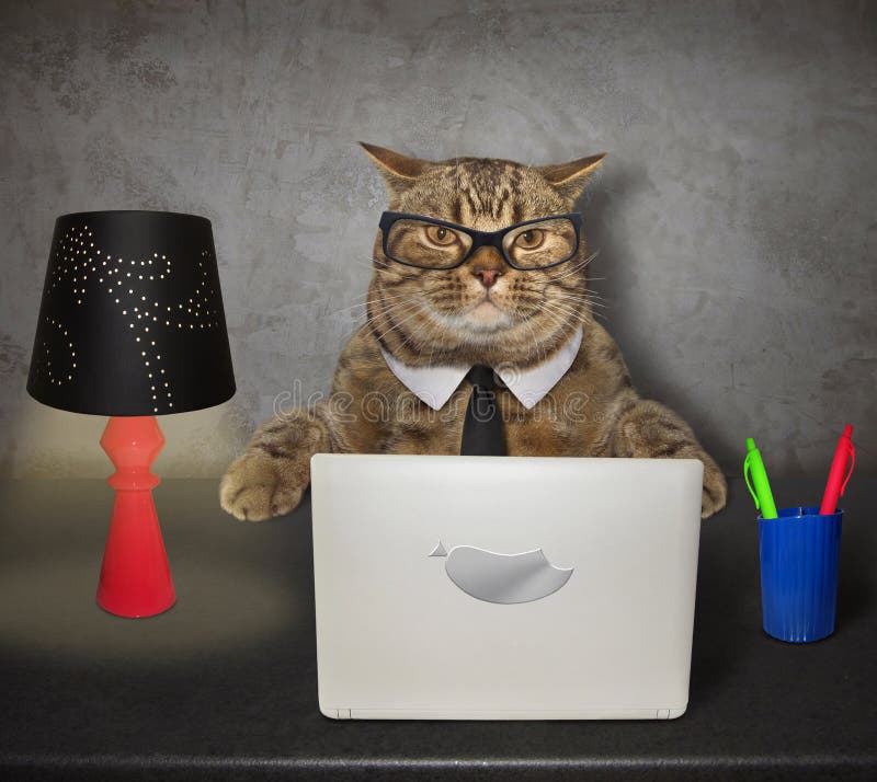 Le Chat Travaille Sur L'ordinateur Photo stock - Image du bossage, chat ...
