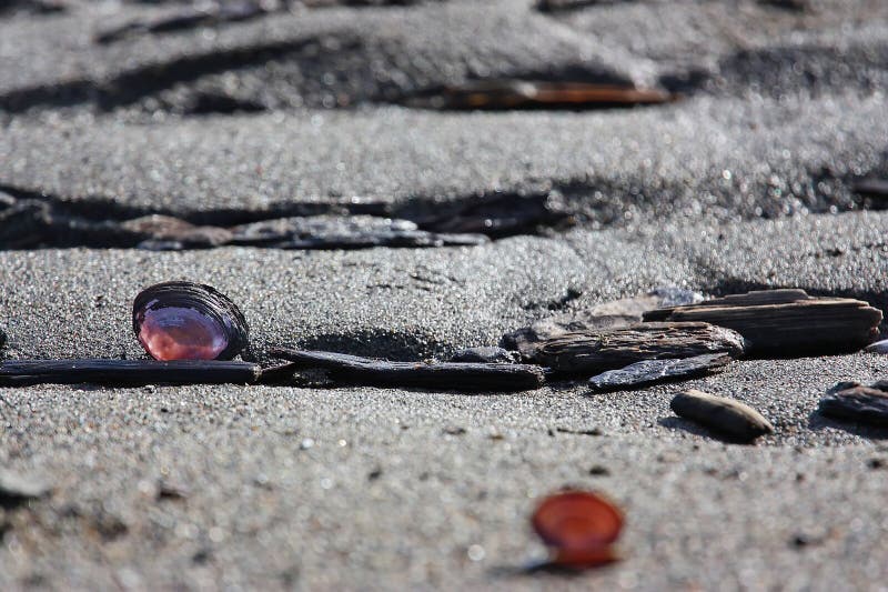 Passerella Di Legno Su Un Fondo Nebbioso Della Spiaggia Della Sabbia ... Passerella Di Legno Su Un Fondo Nebbioso Della Spiaggia Della Sabbia ...