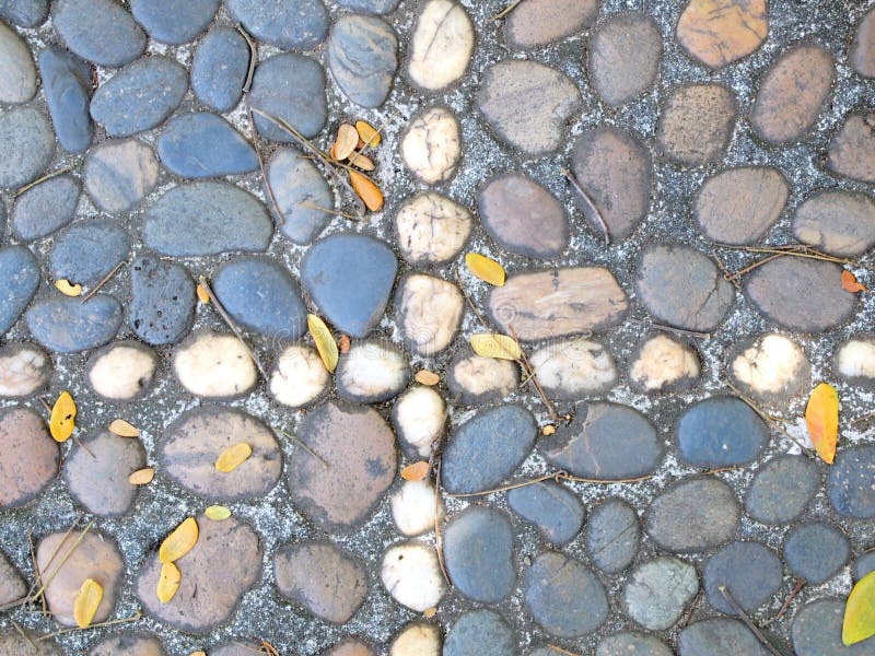 Le Divers Caillou Lapide La Texture Photo stock - Image du fond, rivage ...