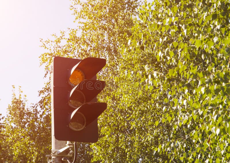 Le Feu De Signalisation Affiche Le Signal Rouge Photo stock - Image du ...