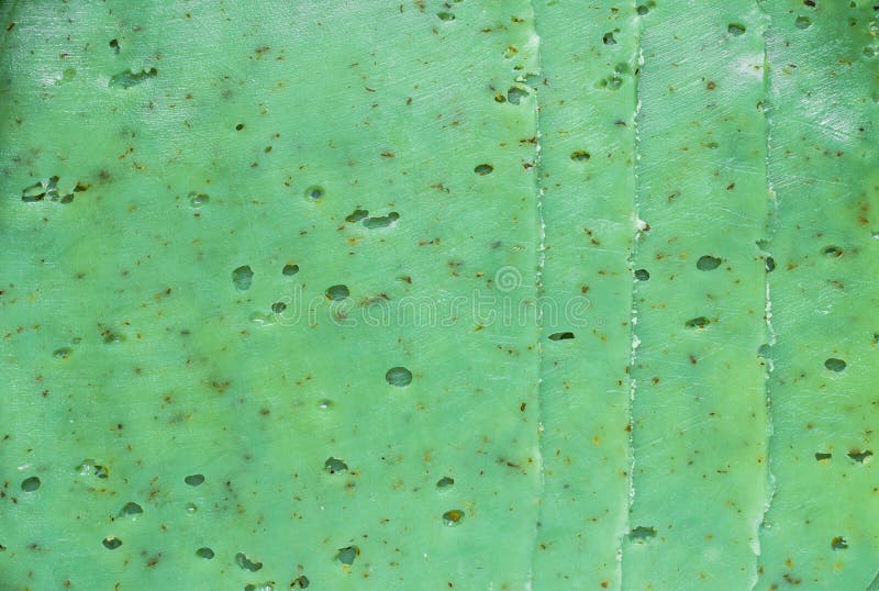 Le Fond Coupe En Tranches Le Fromage Vert Image stock - Image du normal ...