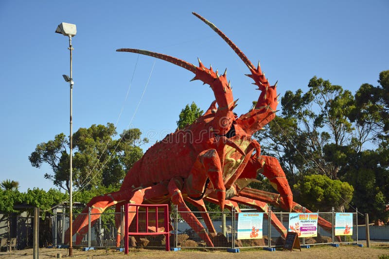 Larry le homard photo éditorial. Image du larry, australie - 79228556
