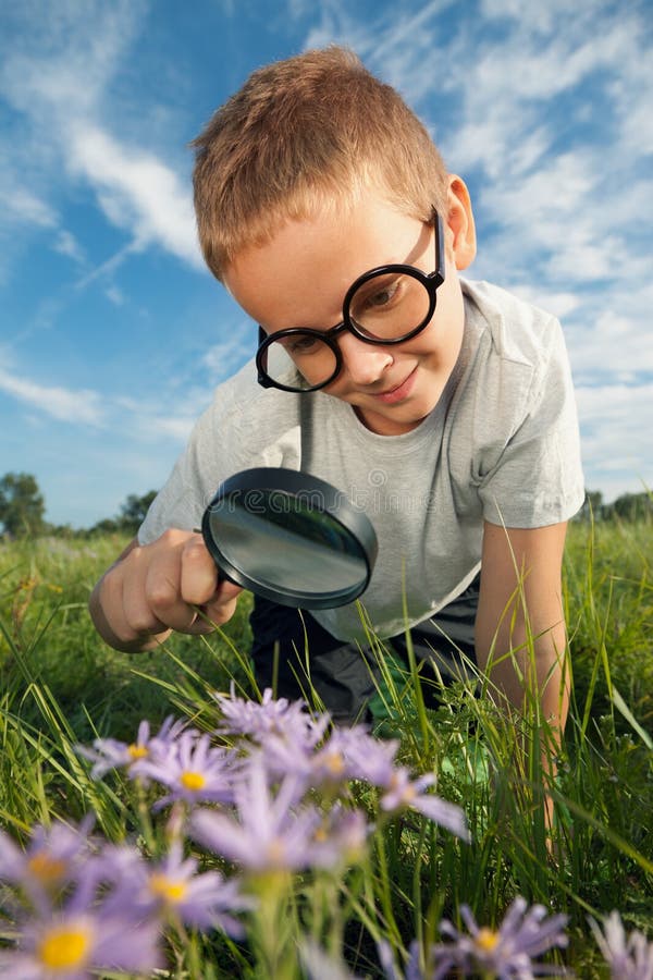 Apprentissage Des Enfants - Exploration Du Lézard Par Des Loupes Image ...