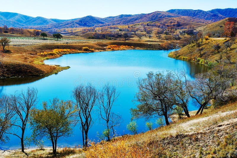 Les collines et les arbres photo stock. Image du colline - 77107288