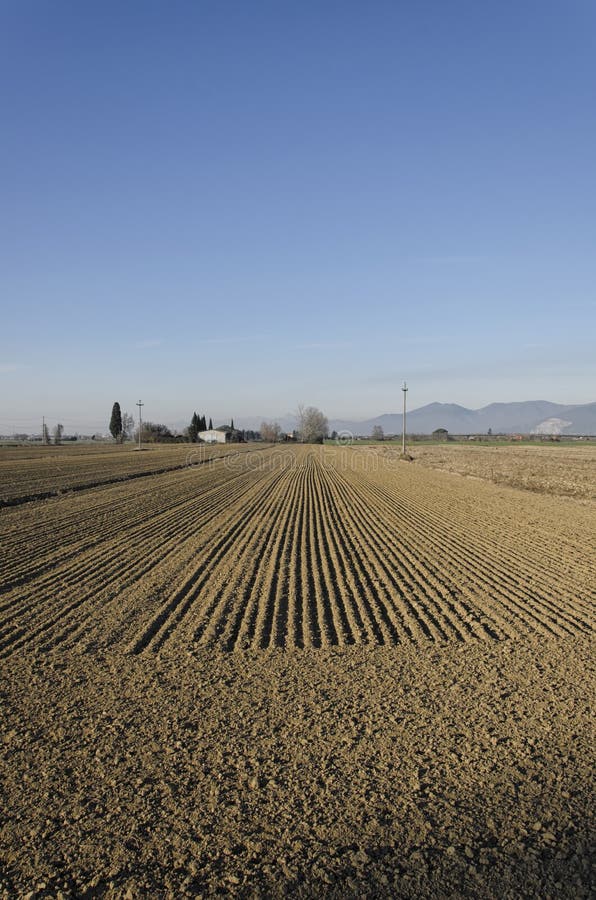 Linee Parallele Da Una Vista Aerea Di Terreni Agricoli E Di Una Strada ...