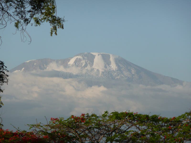 Neige Sur Le Mont Kilimandjaro Dans Amboseli Photo stock - Image du ... Neige Sur Le Mont Kilimandjaro Dans Amboseli Photo stock - Image du ...
