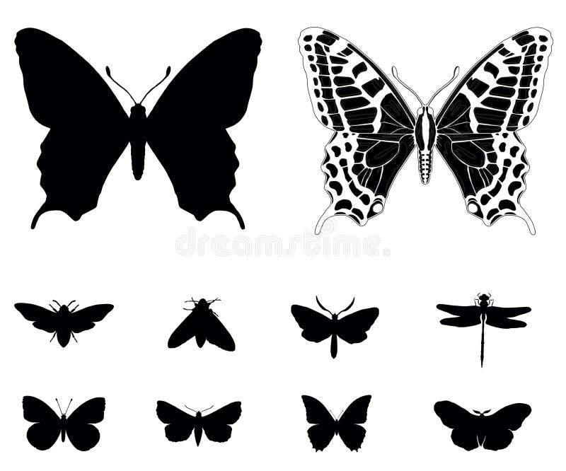 Papillon illustration de vecteur. Illustration du papillons - 30217876
