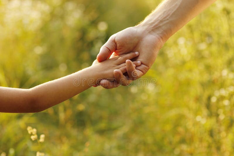 Le Parent Tient La Main D'un Petit Enfant Image stock - Image du soin ...