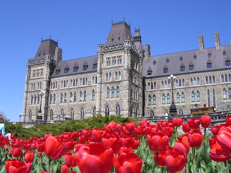 Le Parlement Canadien Avec Les Tulipes Rouges Autour Photo stock ...