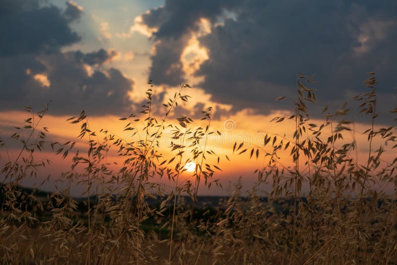 Le Paysage De La Basse Saxe En Allemagne Photo stock - Image du ...