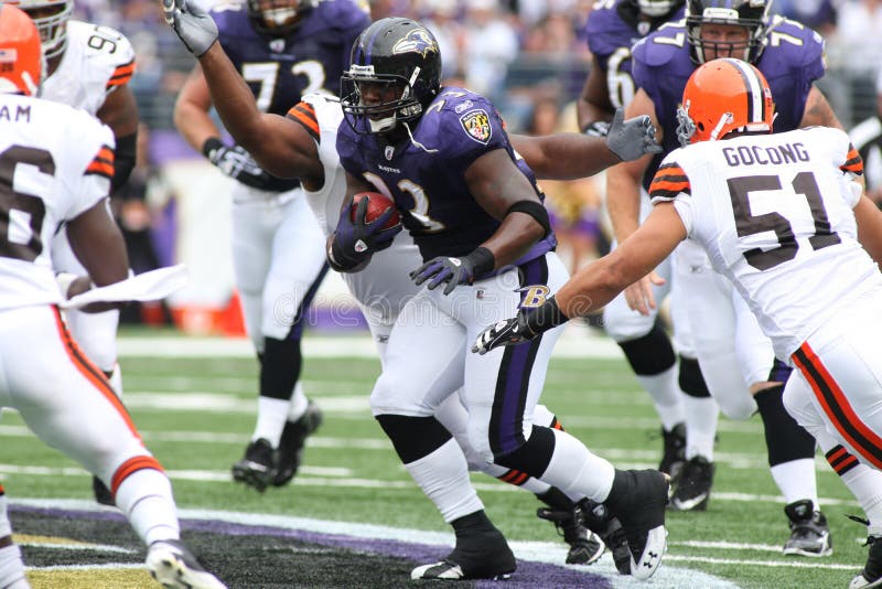 Ravens Fullback Stock Photos - Free & Royalty-Free Stock Photos from ...