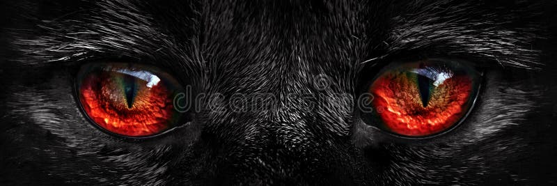 10,036 Photos de Oeil De Monstre - Photos de stock gratuites et libres ...