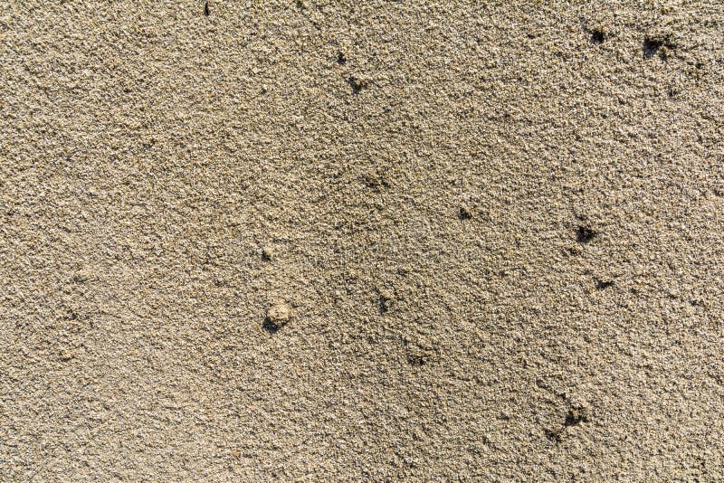 Le Sable Est Une Roche Sédimentaire Lâche Image stock - Image of ...