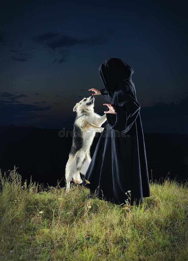 Le sorcier image stock. Image du animal, magicien, femelle - 6853895