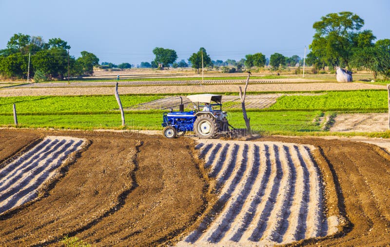 Le Tracteur Laboure Le Champ Photo stock éditorial - Image du chauffer ...