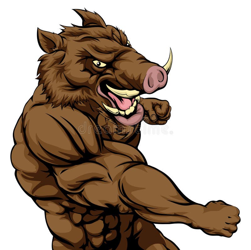 Le Verrat Folâtre Le Combat De Mascotte Illustration de Vecteur ...