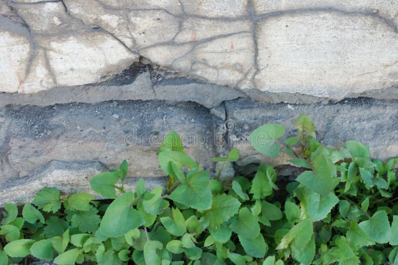 Le Vieux Jeune Gris De Fond De Texture De Stuc De Mur De Ciment Part ... Le Vieux Jeune Gris De Fond De Texture De Stuc De Mur De Ciment Part ...