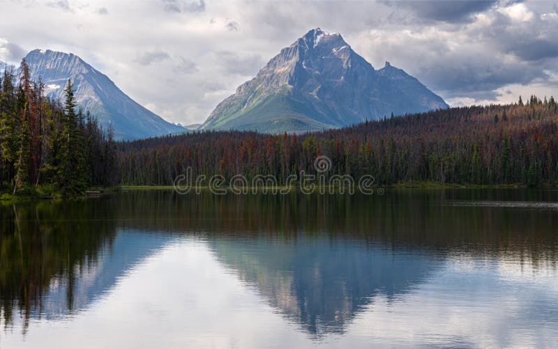 Leach Lake, Jasper National Park, Alberta, Canada Stock Photo - Image ...