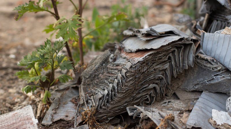 Lead Acid Battery Plates. Ecological Disaster Stock Image - Image of ...