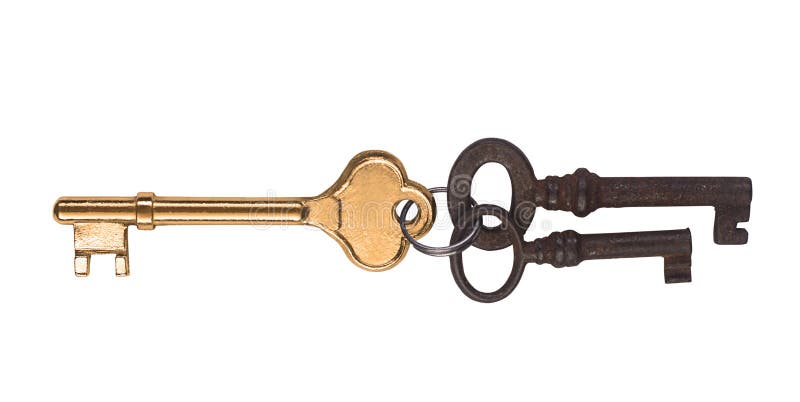 Lead the way stock photo. Image of opportunity, leader - 67655628