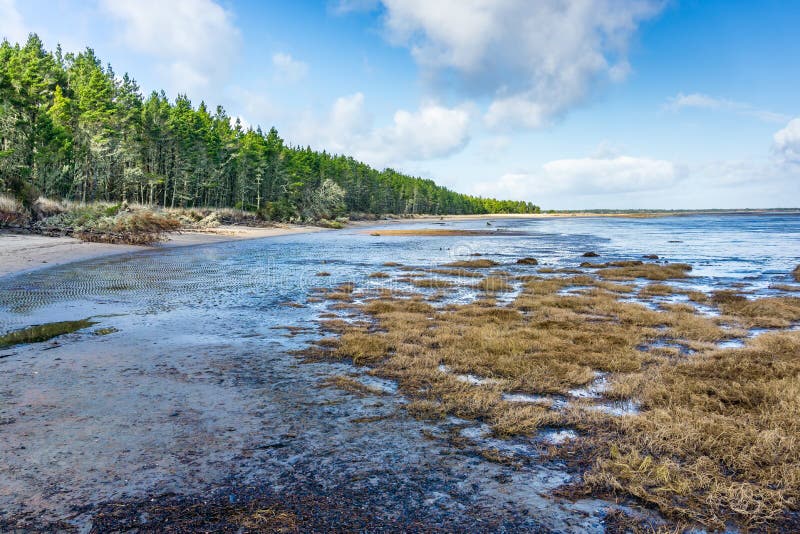 Leadbetter Point Park Shoreline 2 Stock Photo - Image of tranquil ...