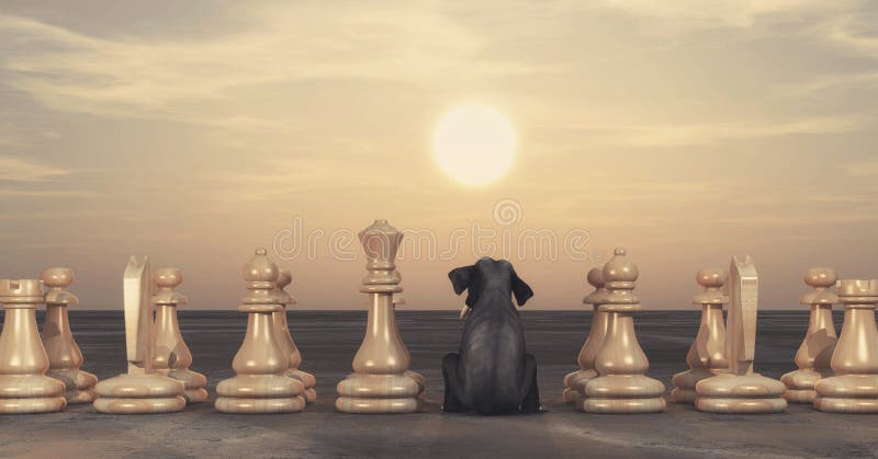 Elephant Sitting Inside Chess Pieces . Stock Illustration ...
