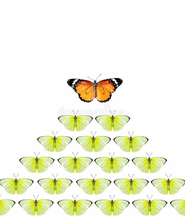 Leadership in team stock image. Image of chain, team - 64770523