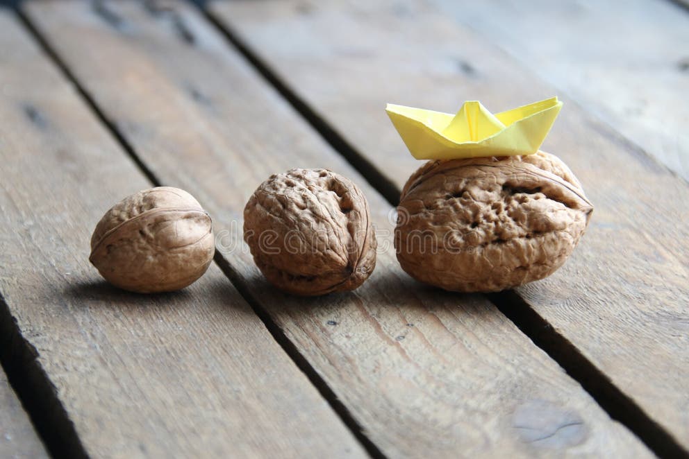 Leadership Concept. Nuts and a Paper Boat Stock Image - Image of food ...