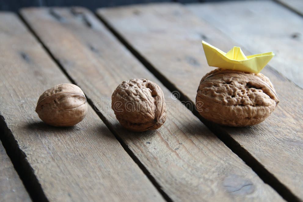 Leadership Concept. Nuts and a Paper Boat Stock Photo - Image of vision ...