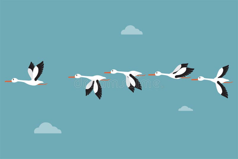 Leadership stock vector. Illustration of flock, animal - 50277102