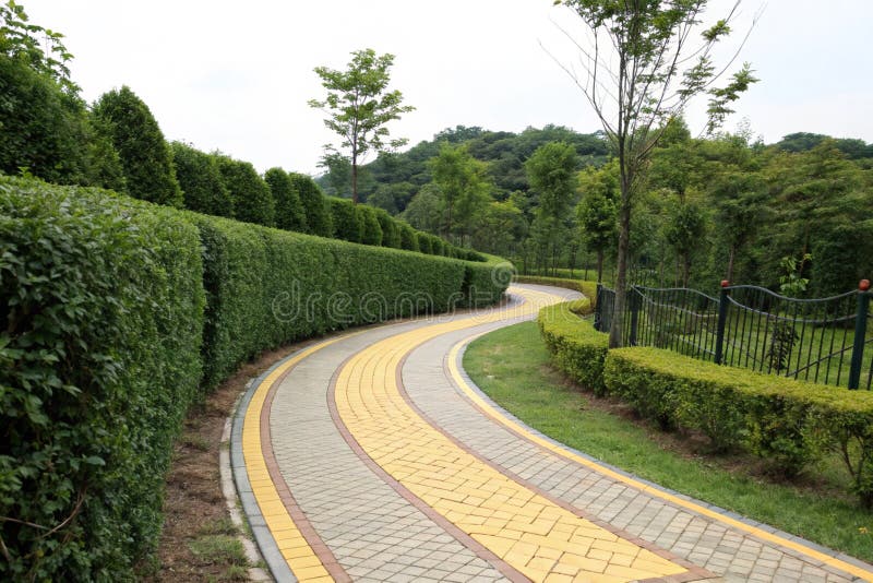 Leading Lines of Footpath with Yellow Curve Pattern Stock Illustration ...